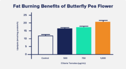 Butterfly Pea Flower: Benefits & How to Use - The Nutrition Insider