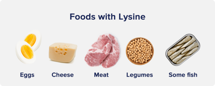 L-Lysine Benefits: From Anxiety to Muscle Growth