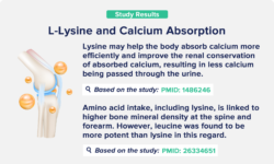 L-Lysine Benefits: From Anxiety to Muscle Growth