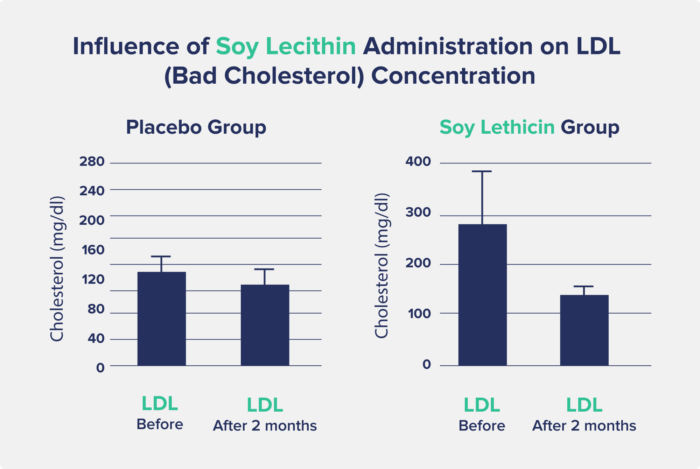 Soy Lecithin: Benefits, Side Effects, and Uses of This Common Food Additive