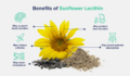 A Natural Emulsifier: The History and Emerging Health Benefits of ...